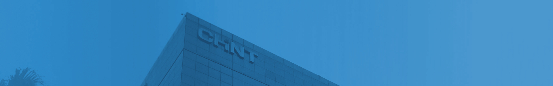 CHINT Global Vietnam - Introduction